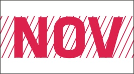 MONTH NOVEMBER / NOV STICKER ON CALIFORNIA LICENSE PLATE