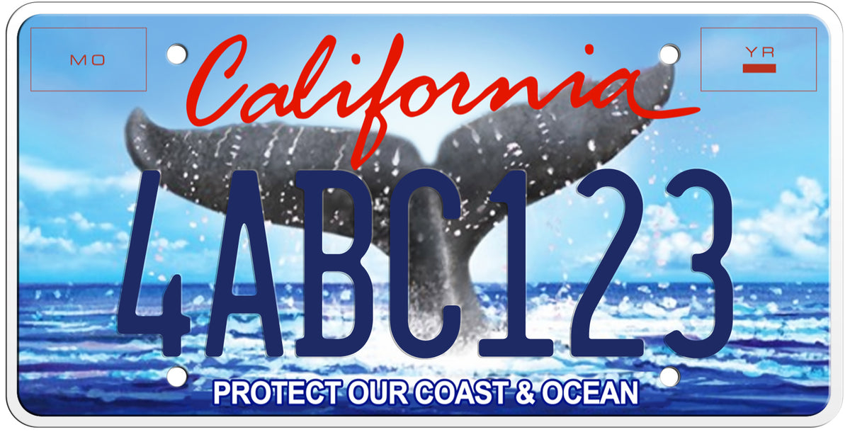 CALIFORNIA PROTECT OUR COAST & OCEAN LICENSE PLATE 6"x12" (156.5mm x 3